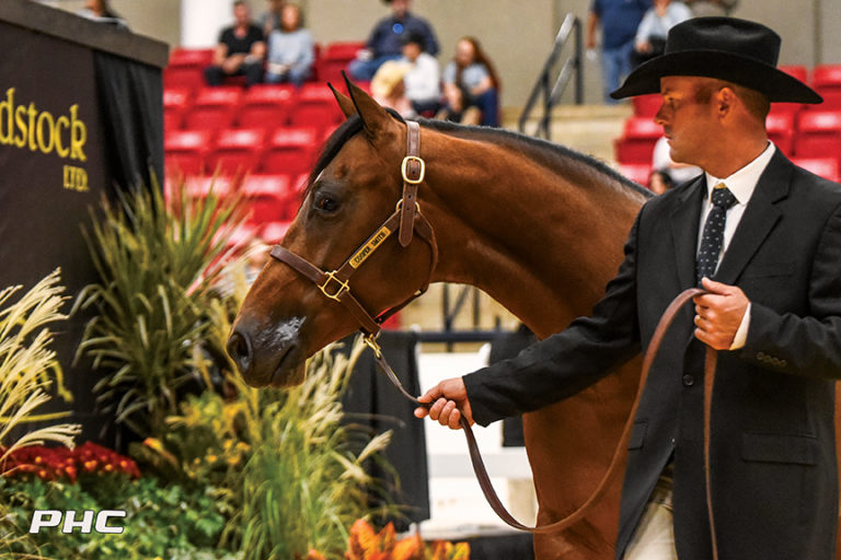 News – 2023 NRCHA Snaffle Bit Futurity Sales – October 20 – Western ...