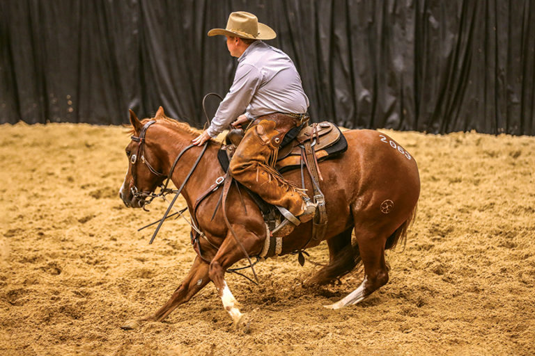 News – 2024 NCHA Futurity Sales – December 3 – Western Bloodstock, Ltd.
