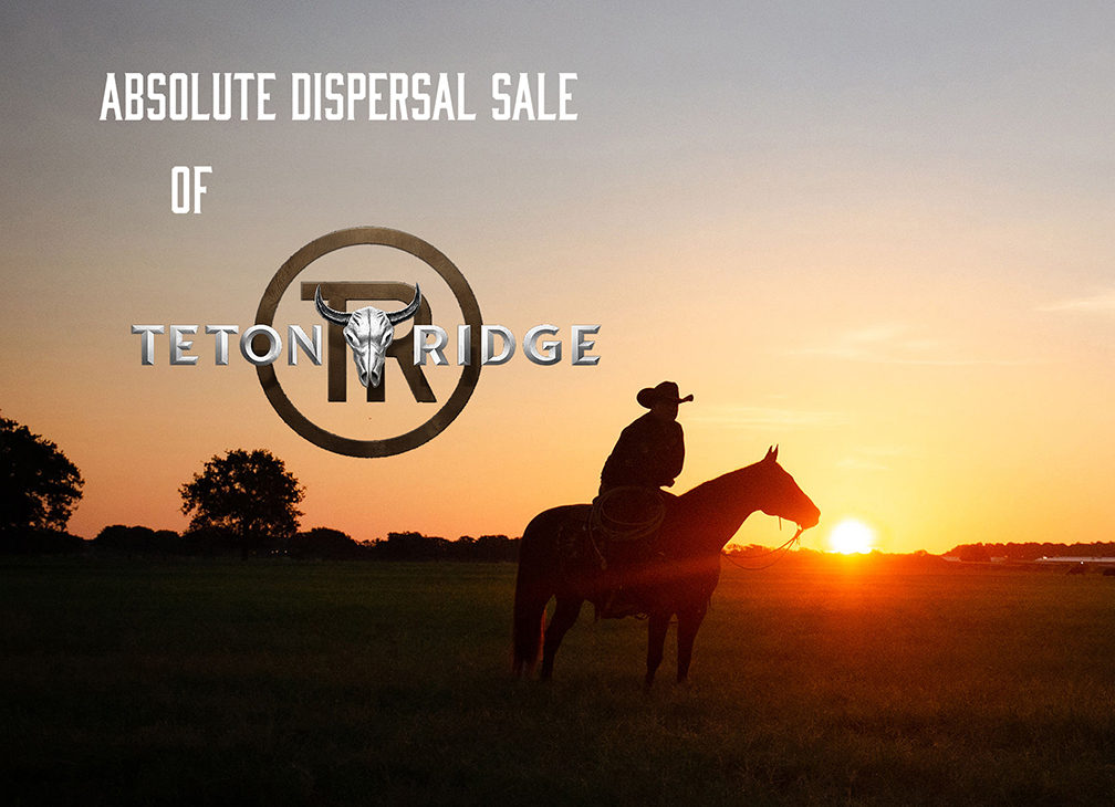 2025 Absolute Dispersal Sale of Teton Ridge - Western Bloodstock, Ltd.