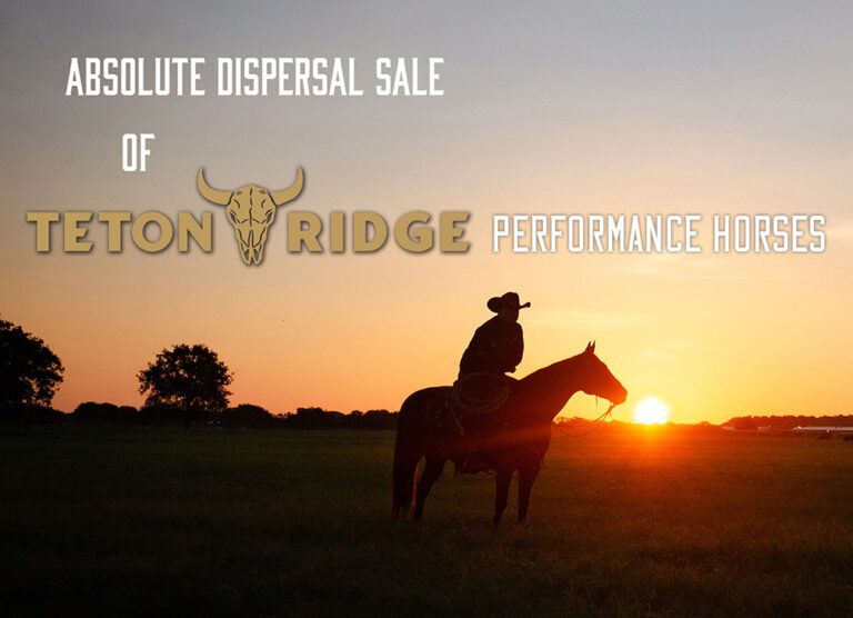 2025 Absolute Dispersal Sale of Teton Ridge - Western Bloodstock, Ltd.